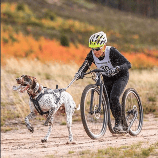 Kickbike CROSS 29er - SOLD OUT - Ultimate Off Road Scooter by Kickbike ...