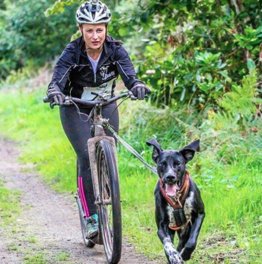 Kickbike CROSS 29er - SOLD OUT - Ultimate Off Road Scooter by Kickbike ...