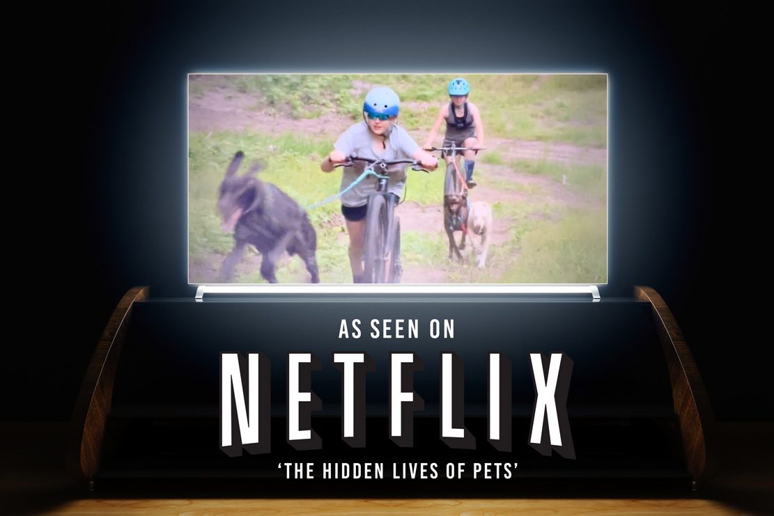 Kickbike: America's Leading Urban & Dryland Mushing Dog Scooter